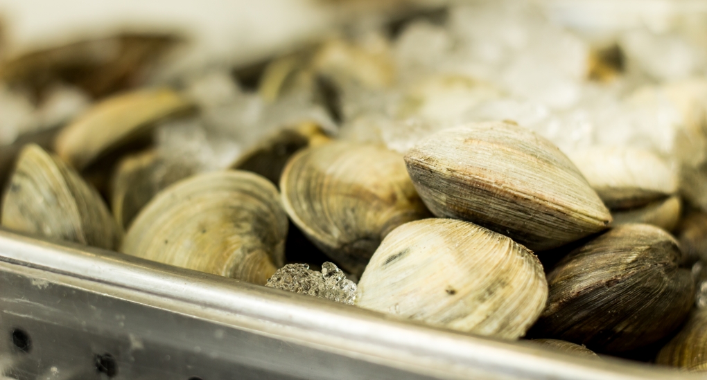 Blue Point Crab House » Frozen Seafood